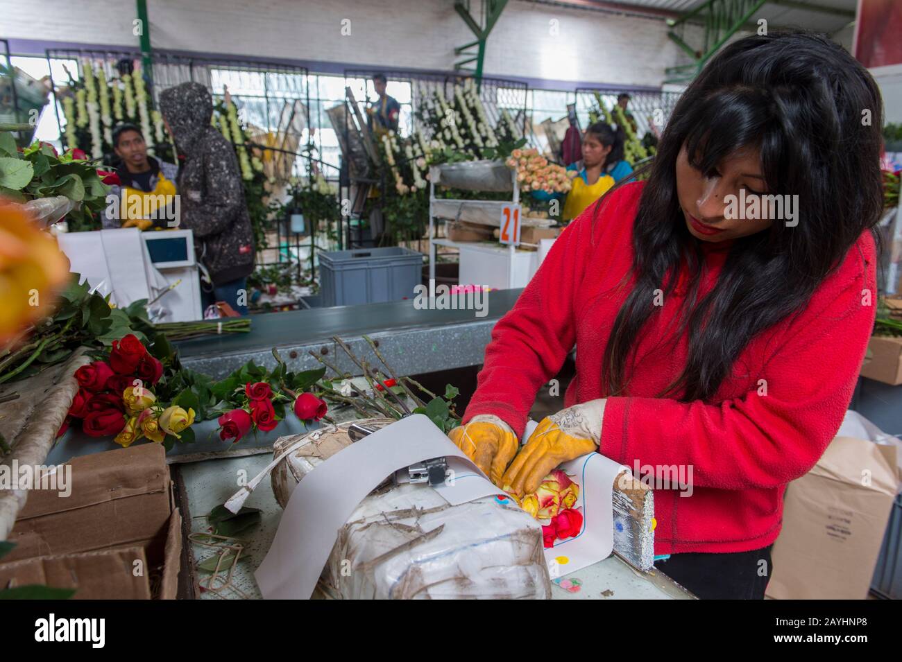Quito Rose Markets
