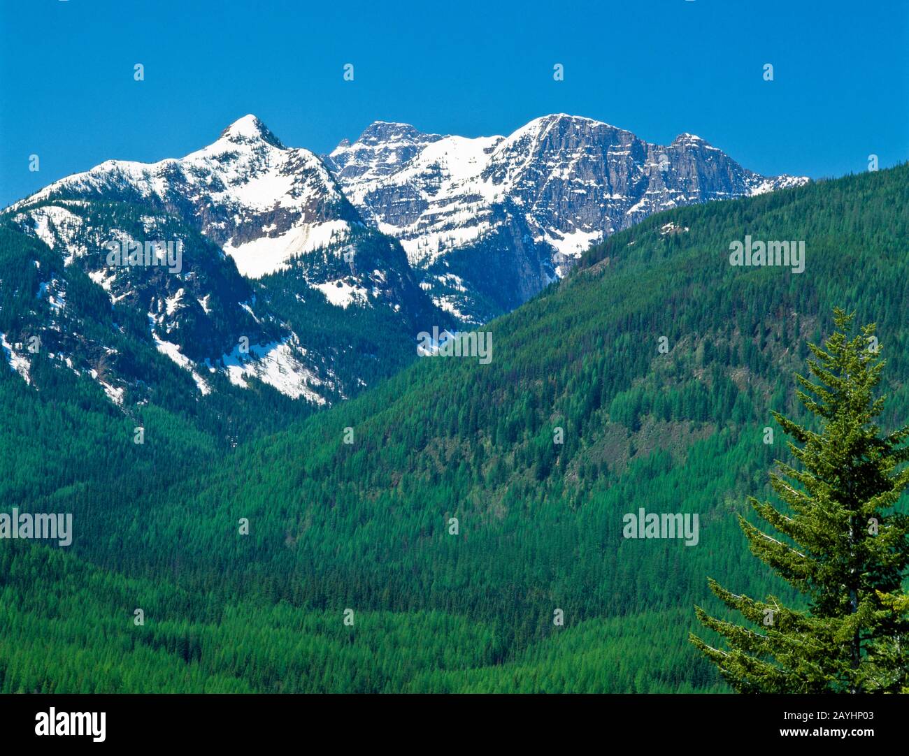 Mission Mountains Wilderness High Resolution Stock Photography and ...