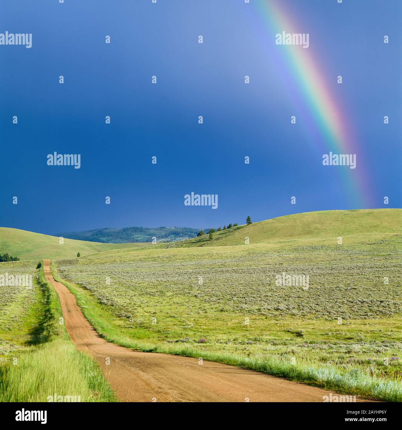 rainbow over prairie in meagher county near white sulphur springs ...