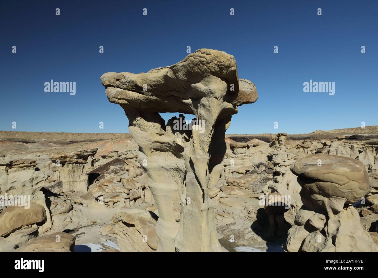 Strange Rock Formation in Bisti Badlands (Alien Throne) New Mexico USA ...