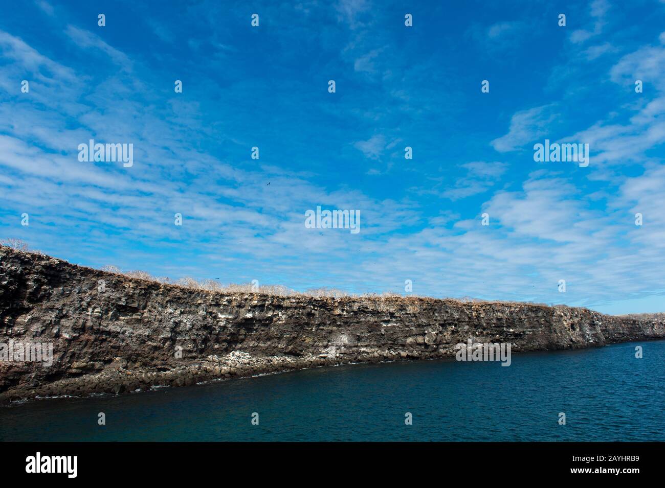 View of the cliff near the Prince Philips Steps on Genovesa Island ...
