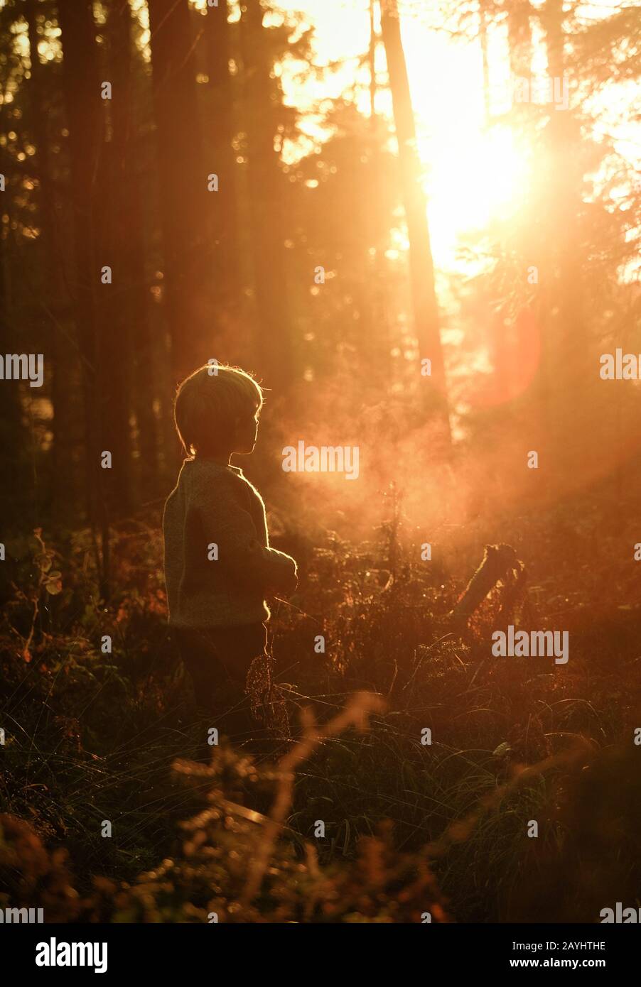 child looking at the sun, sunset Stock Photo - Alamy