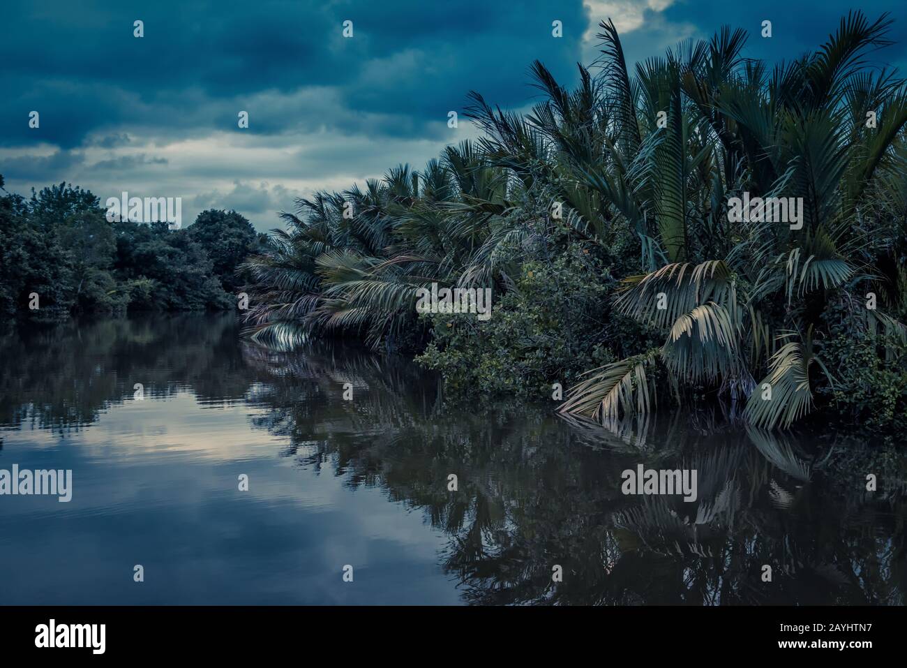 Scenic lagoon at night near Tangalle, Sri Lanka. Amazing view of the ...