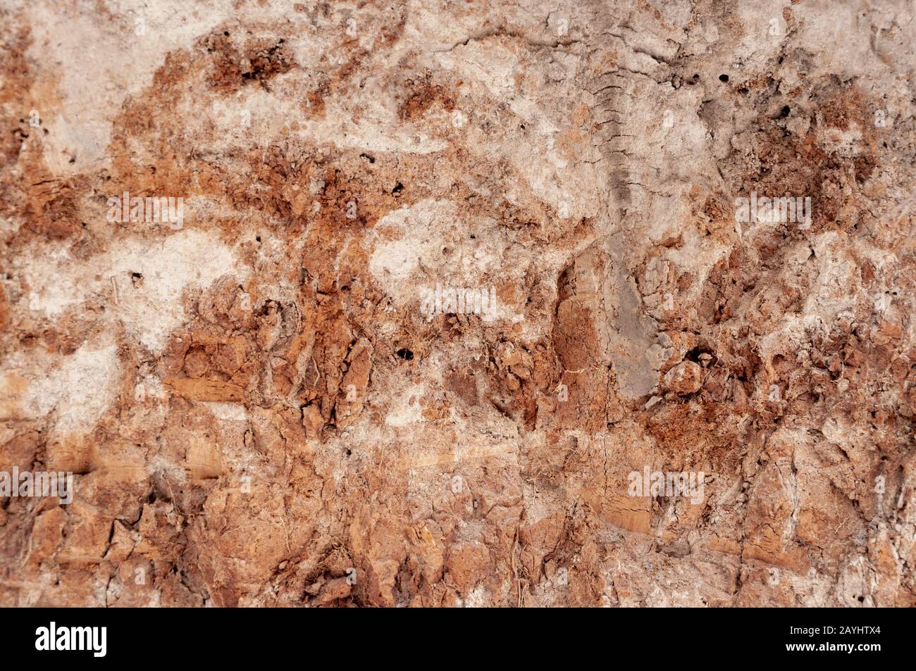 Clay loam soil hi-res stock photography and images - Alamy