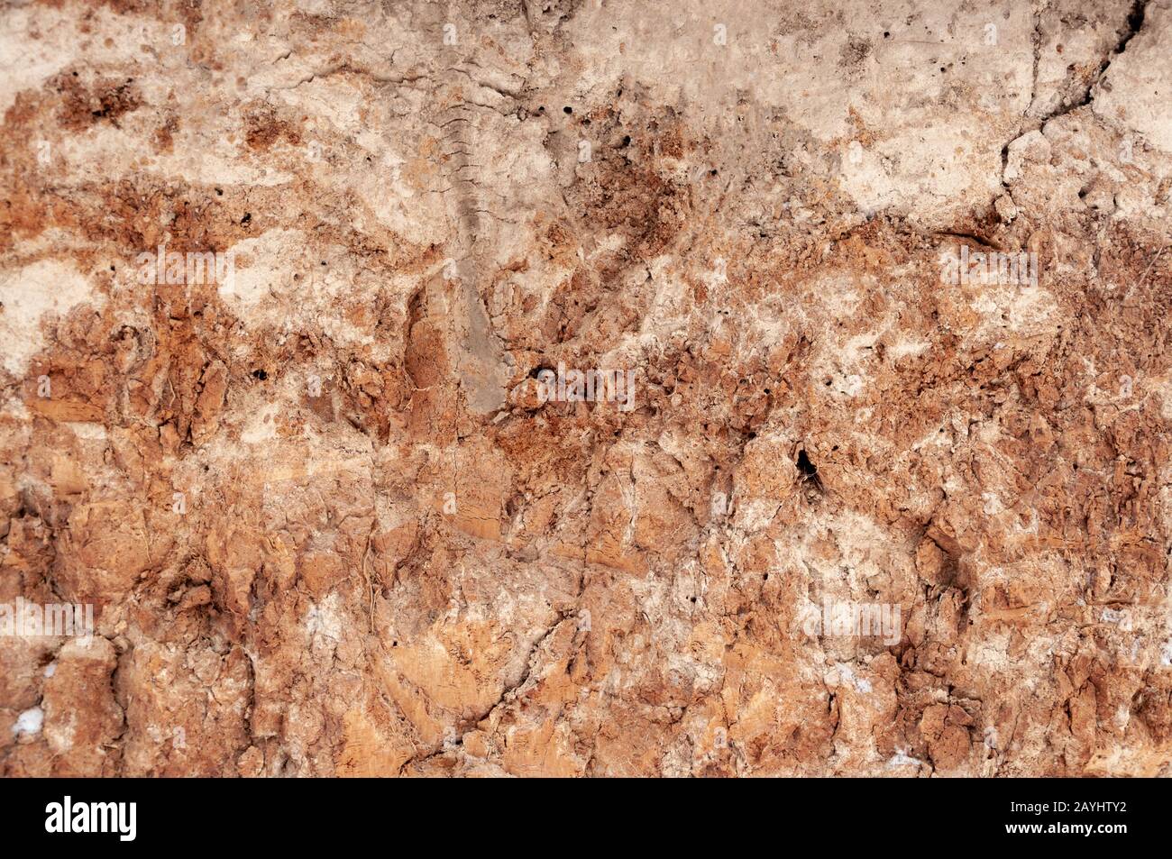 Close-up of the structure of the soil layer in the section. Type-clay ...