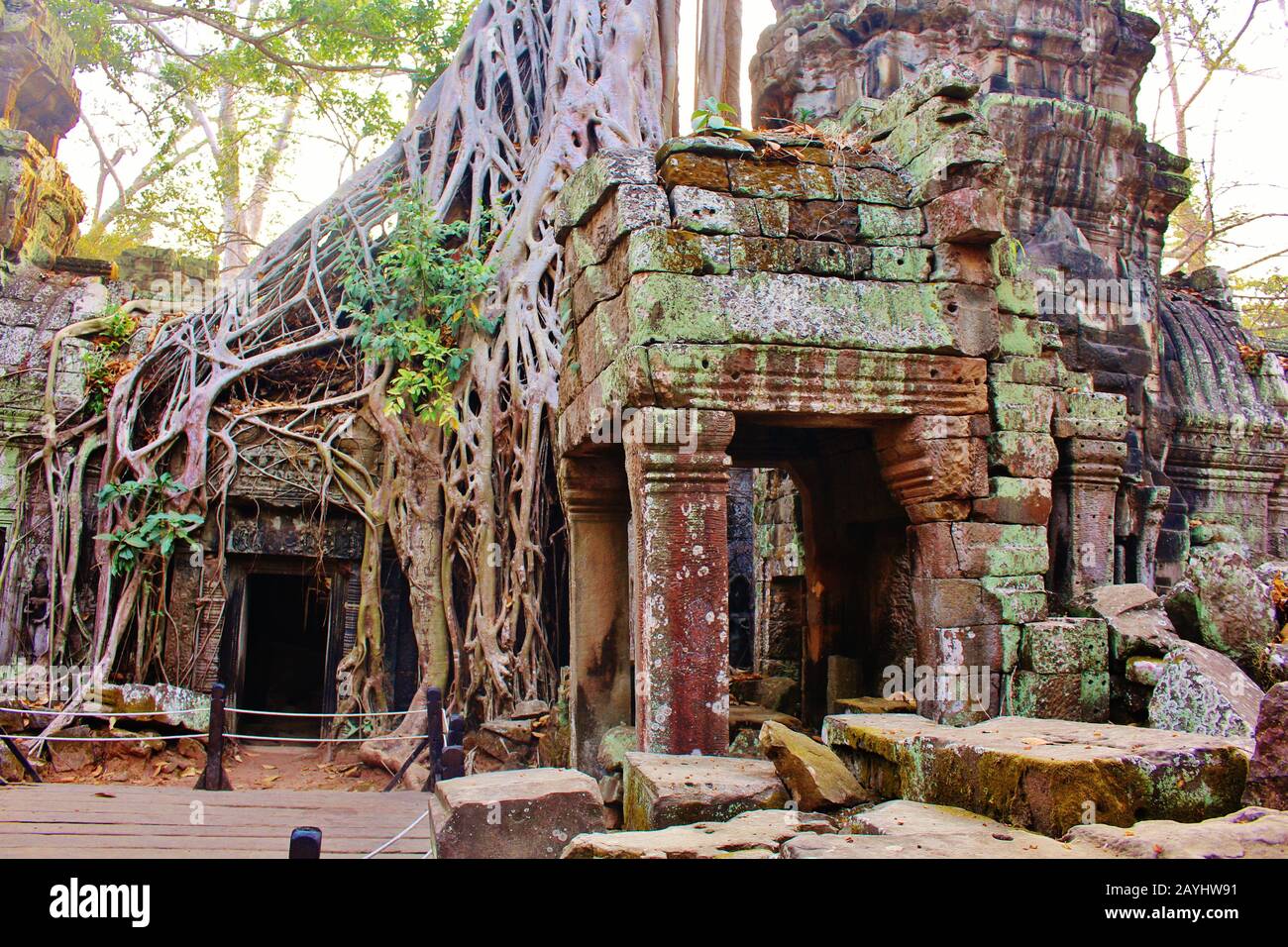 Scenic Ta Prohm Temple at Siem Reap in Cambodia. It is part of the ...