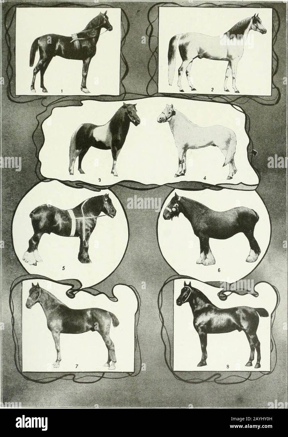 Universal reference library hi-res stock photography and images - Alamy