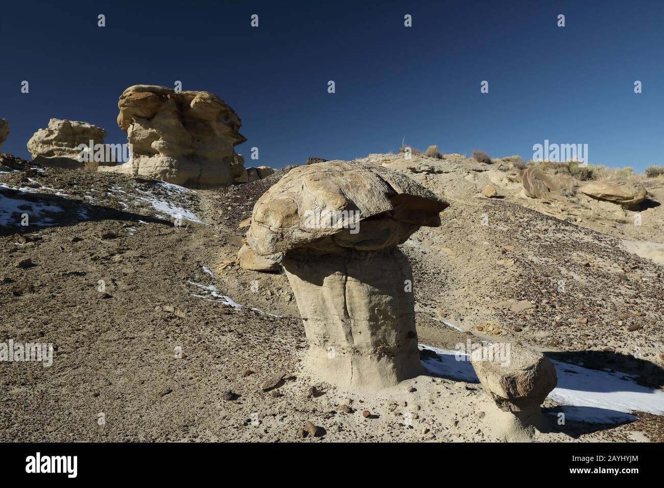 Strange Rock Formation in Bisti Badlands Valley of Dreams New Mexico ...