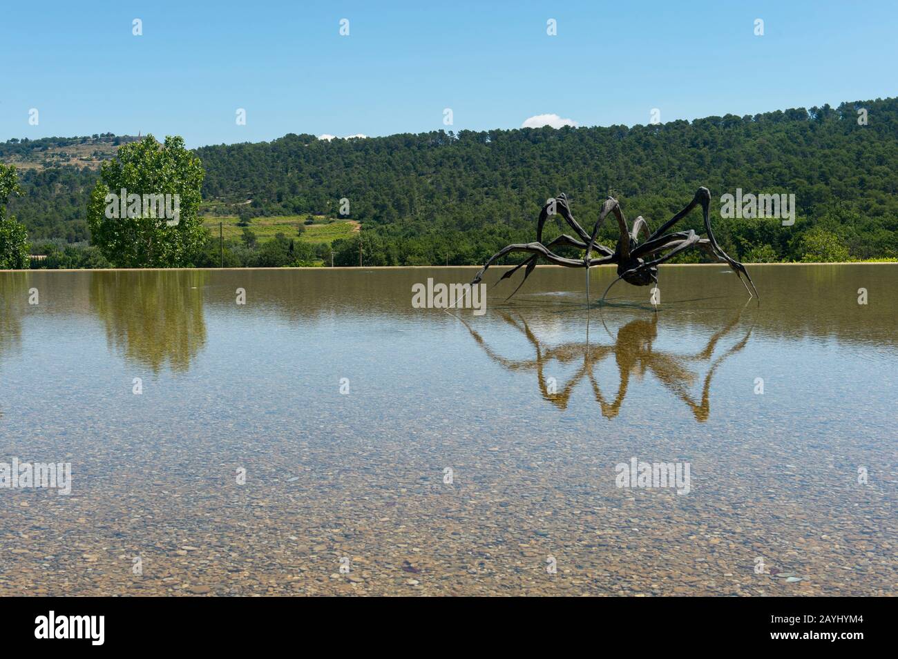 View of the Crouching Spider by Louise Bourgeois at the Tadao Ando Art ...