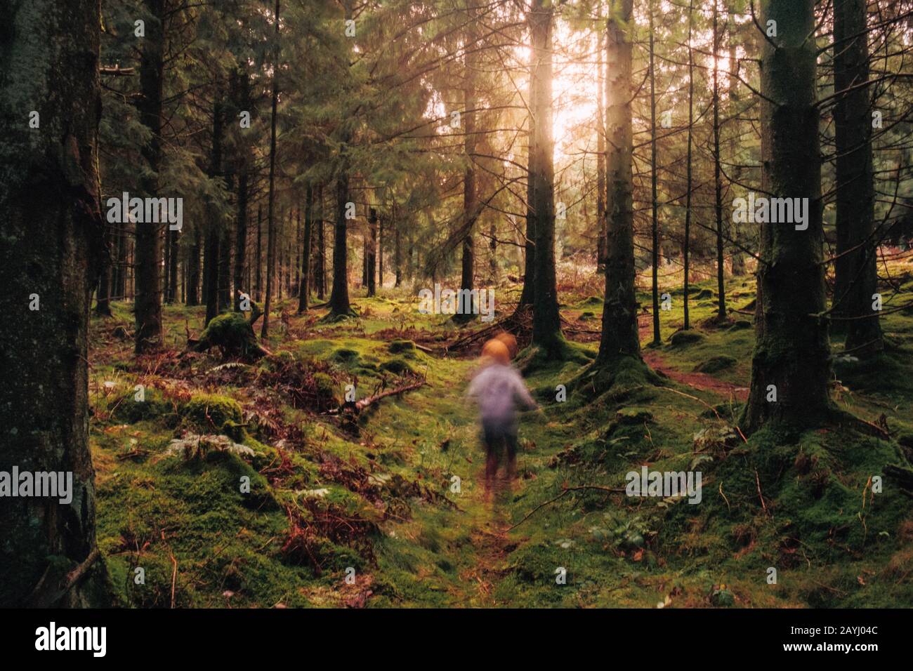 boy running through the woods Stock Photo - Alamy