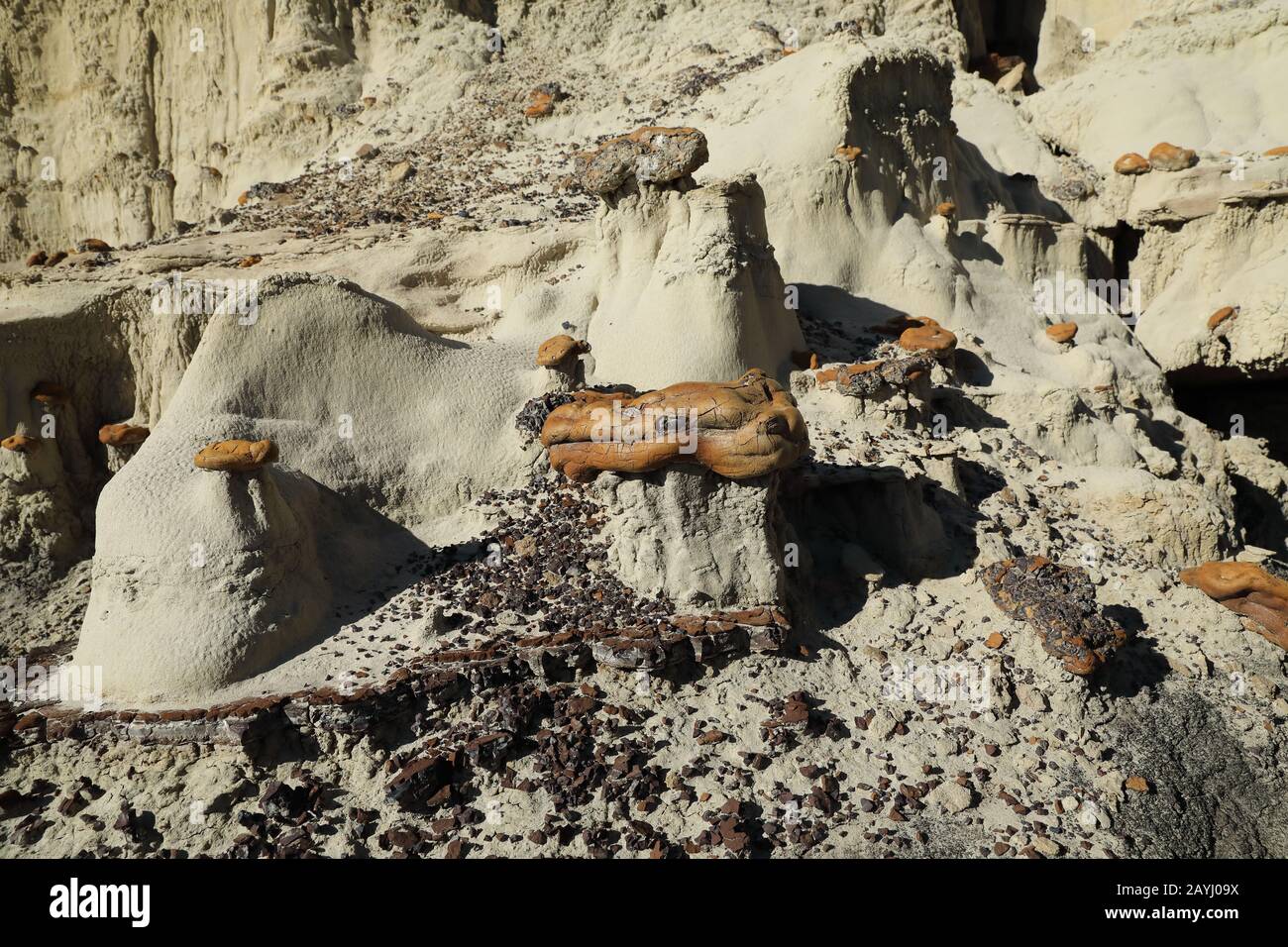Strange Rock Formation in Bisti Badlands Valley of Dreams New Mexico ...