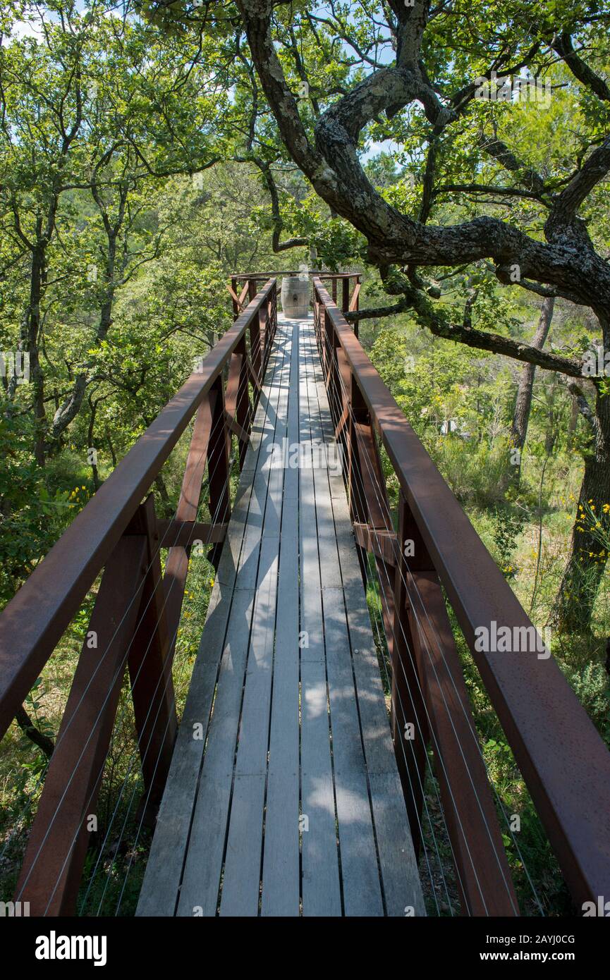 Inside a barrel hi-res stock photography and images - Alamy