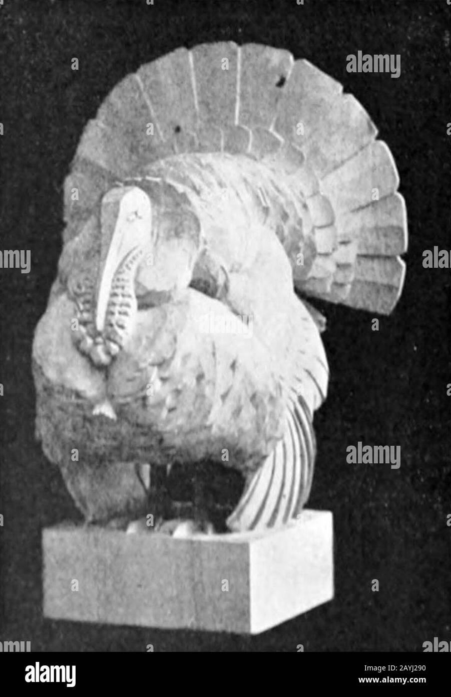 Barwig hi-res stock photography and images - Alamy