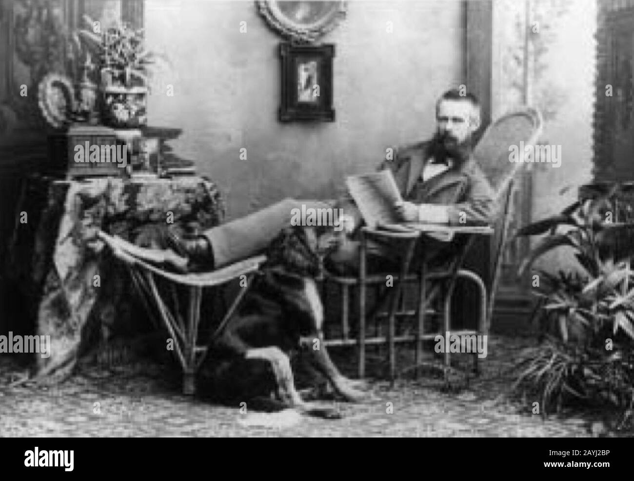 Benque hi-res stock photography and images - Alamy