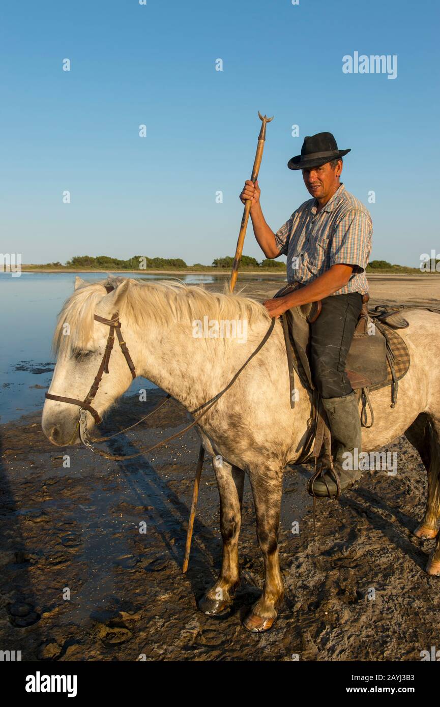 A Guardian (Camargue cowboy) on his horse on a beach of the Camargue in ...