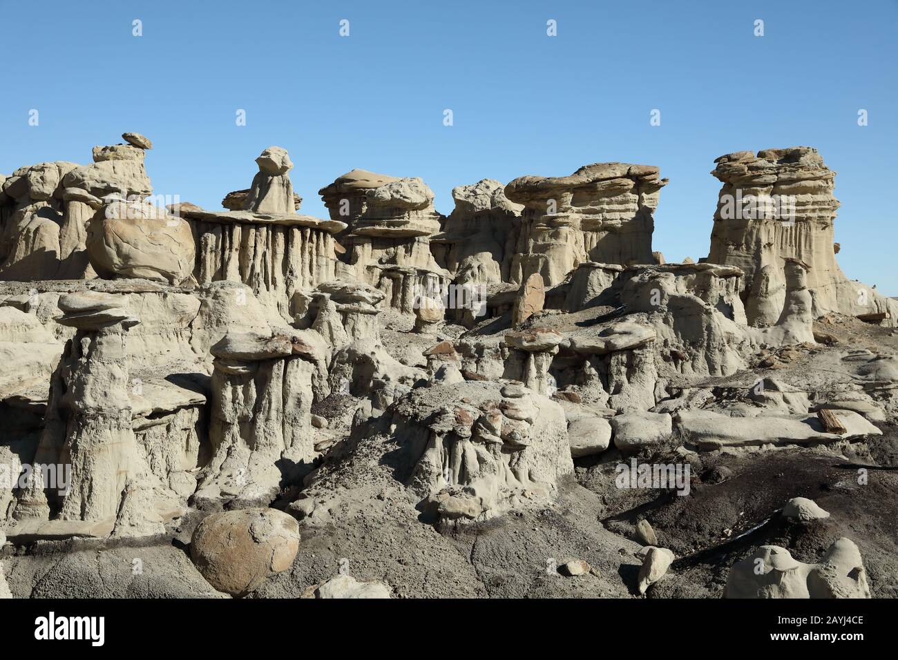 Strange Rock Formation in Bisti Badlands Valley of Dreams New Mexico ...