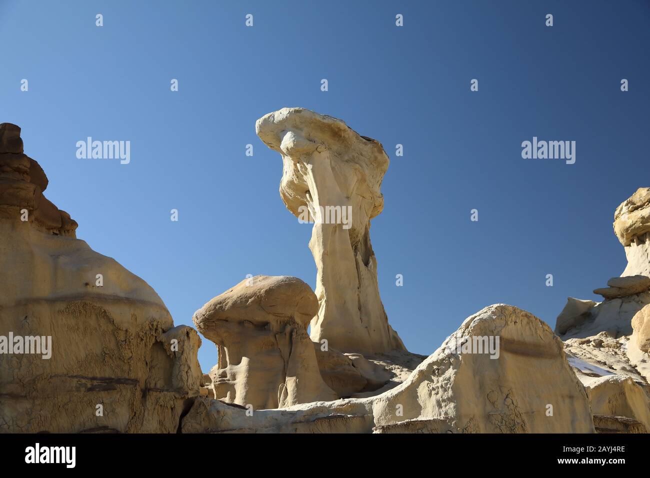 Strange Rock Formation in Bisti Badlands Valley of Dreams New Mexico ...