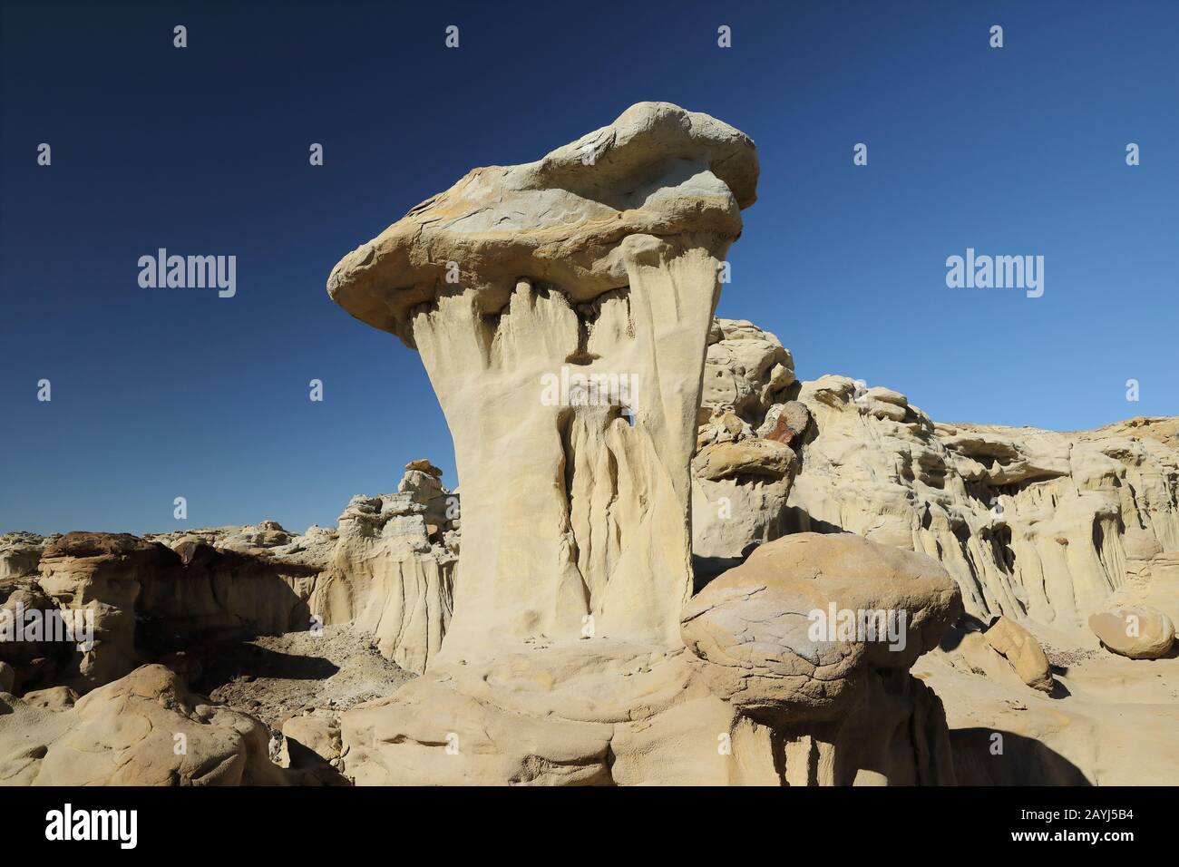 Strange Rock Formation in Bisti Badlands Valley of Dreams New Mexico ...