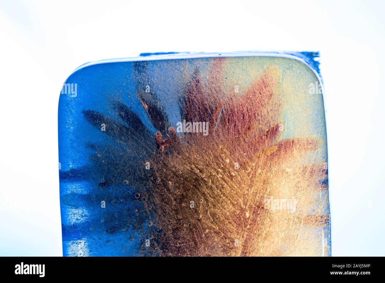 Abstract floral composition hi-res stock photography and images - Alamy