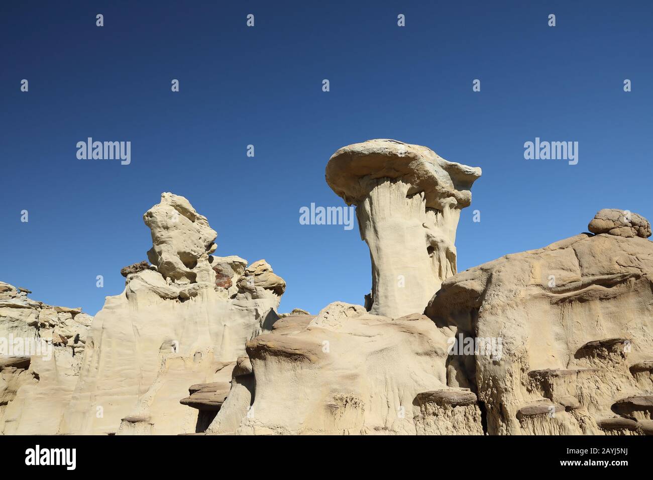 Strange Rock Formation in Bisti Badlands Valley of Dreams New Mexico ...