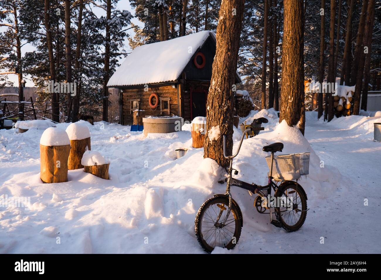 wooden cottage in the woods Stock Photo - Alamy