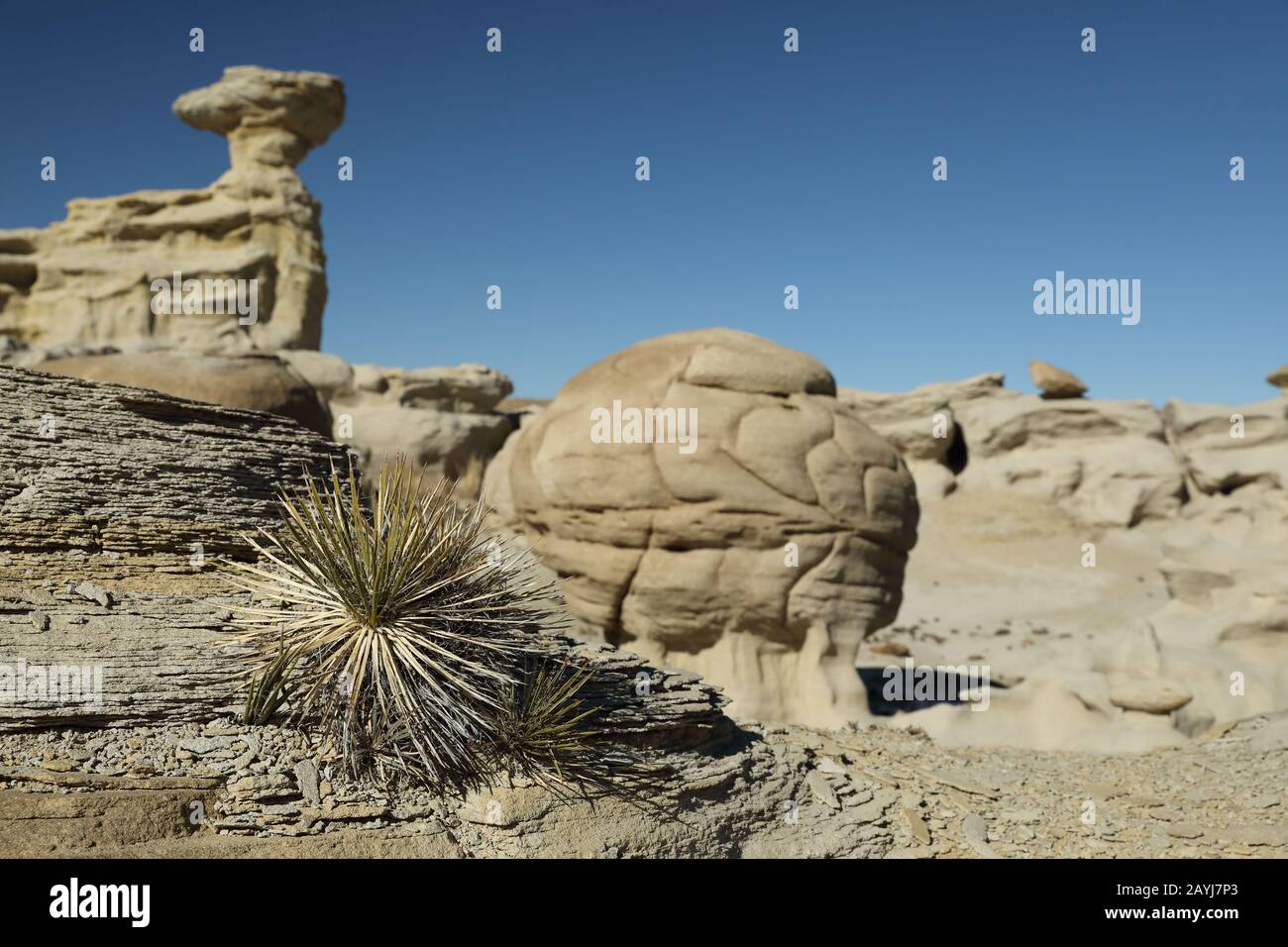 De na zin wash hi-res stock photography and images - Alamy