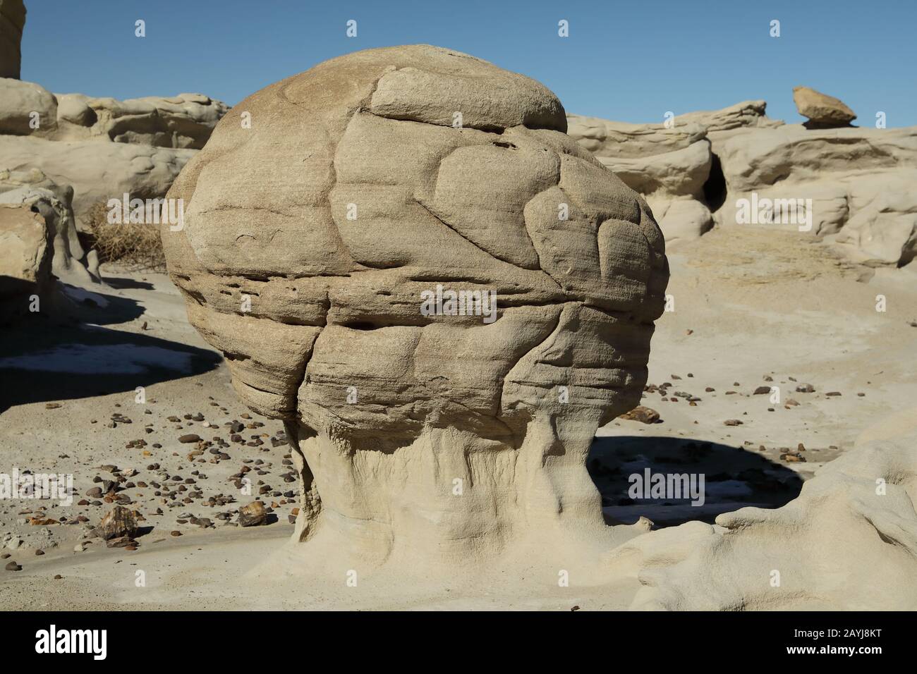 Strange Rock Formation in Bisti Badlands Valley of Dreams New Mexico ...