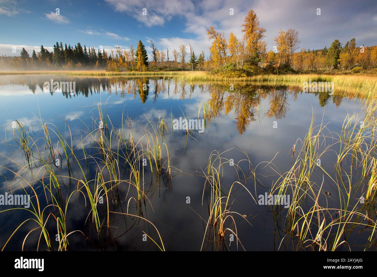 Oppdal norway High Resolution Stock Photography and Images - Alamy