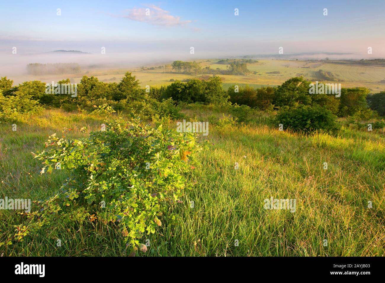 Valley of viroin hi-res stock photography and images - Alamy