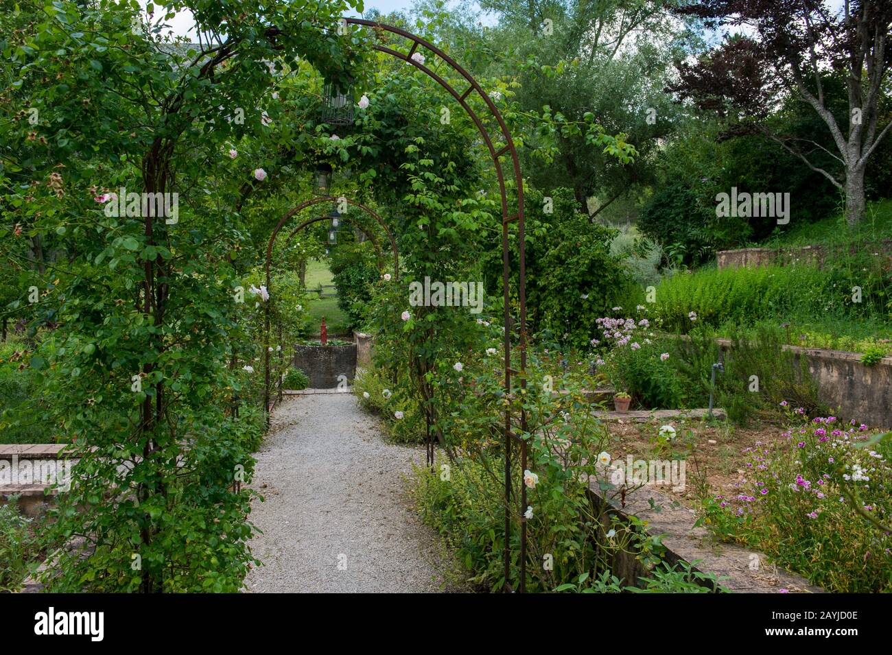 Rose arbor hi-res stock photography and images - Alamy