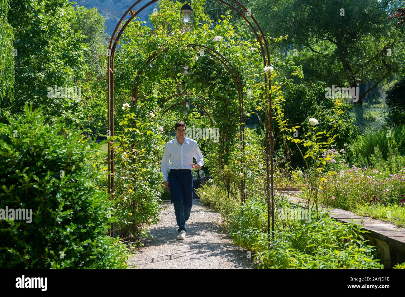 Rose garden arbor hi-res stock photography and images - Alamy