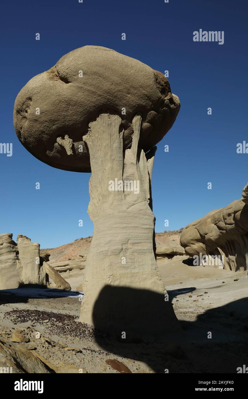 Strange Rock Formation in Bisti Badlands Valley of Dreams New Mexico ...