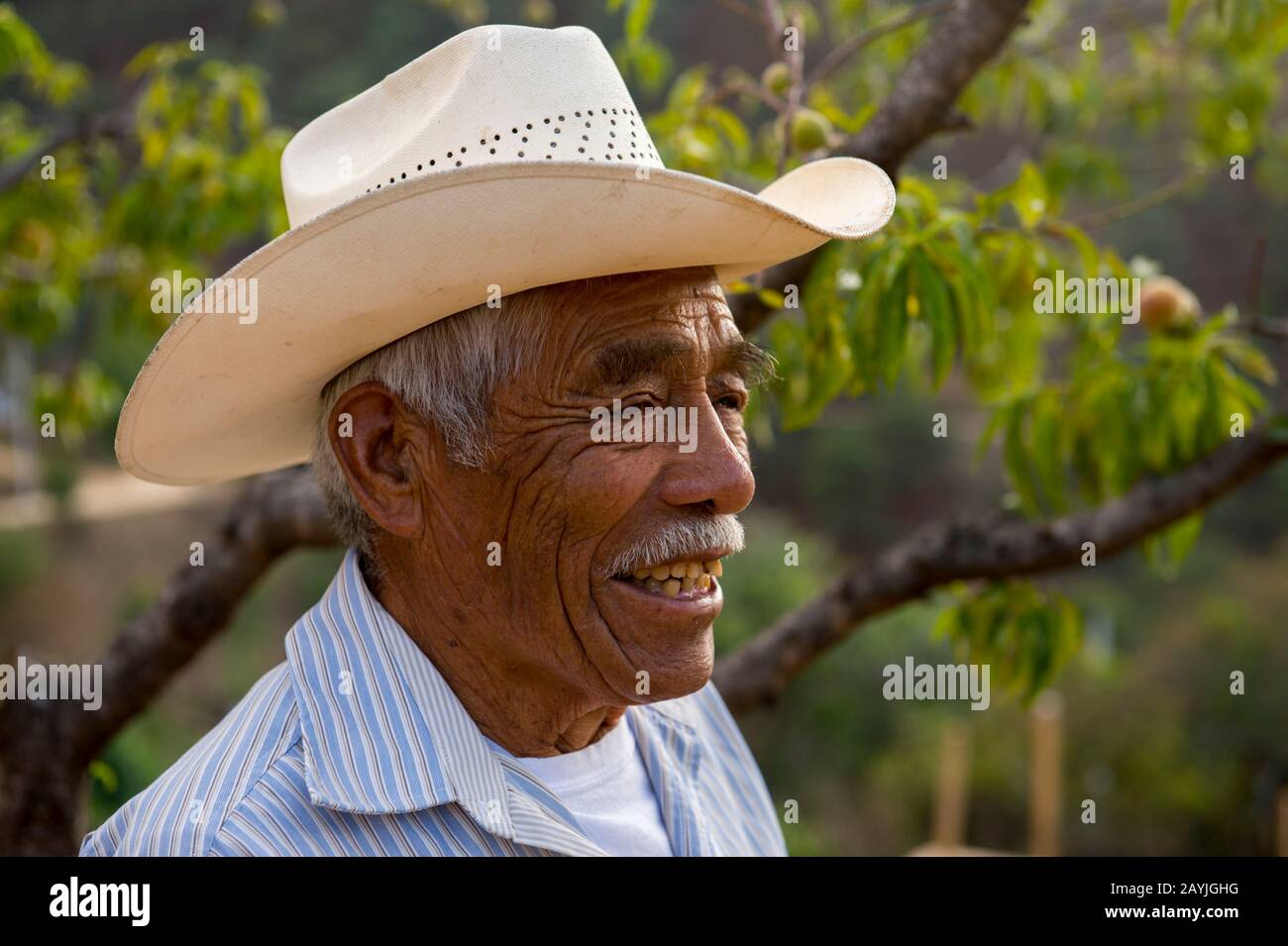 Portrait of a Mexican man (elder) in the Mixtec village of San Juan ...
