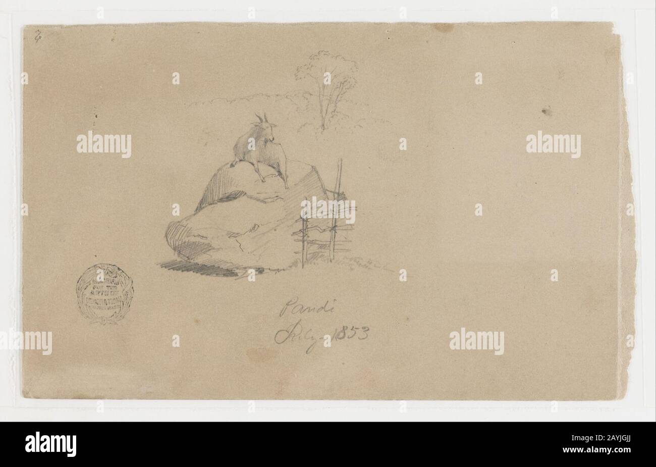 Frederic Edwin Church - A Goat in Pandi, Colombia Stock Photo - Alamy