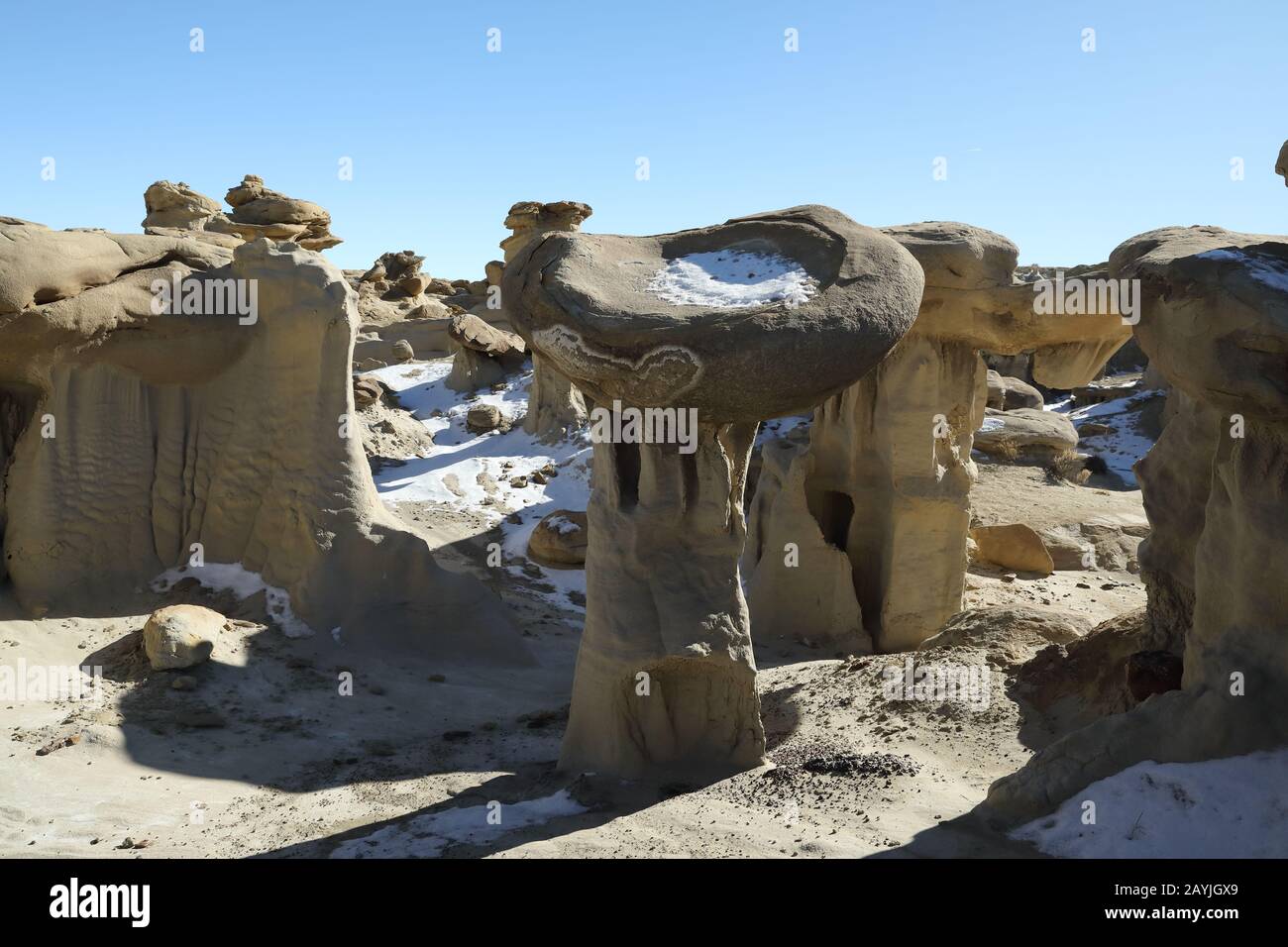 Strange Rock Formation in Bisti Badlands Valley of Dreams New Mexico ...