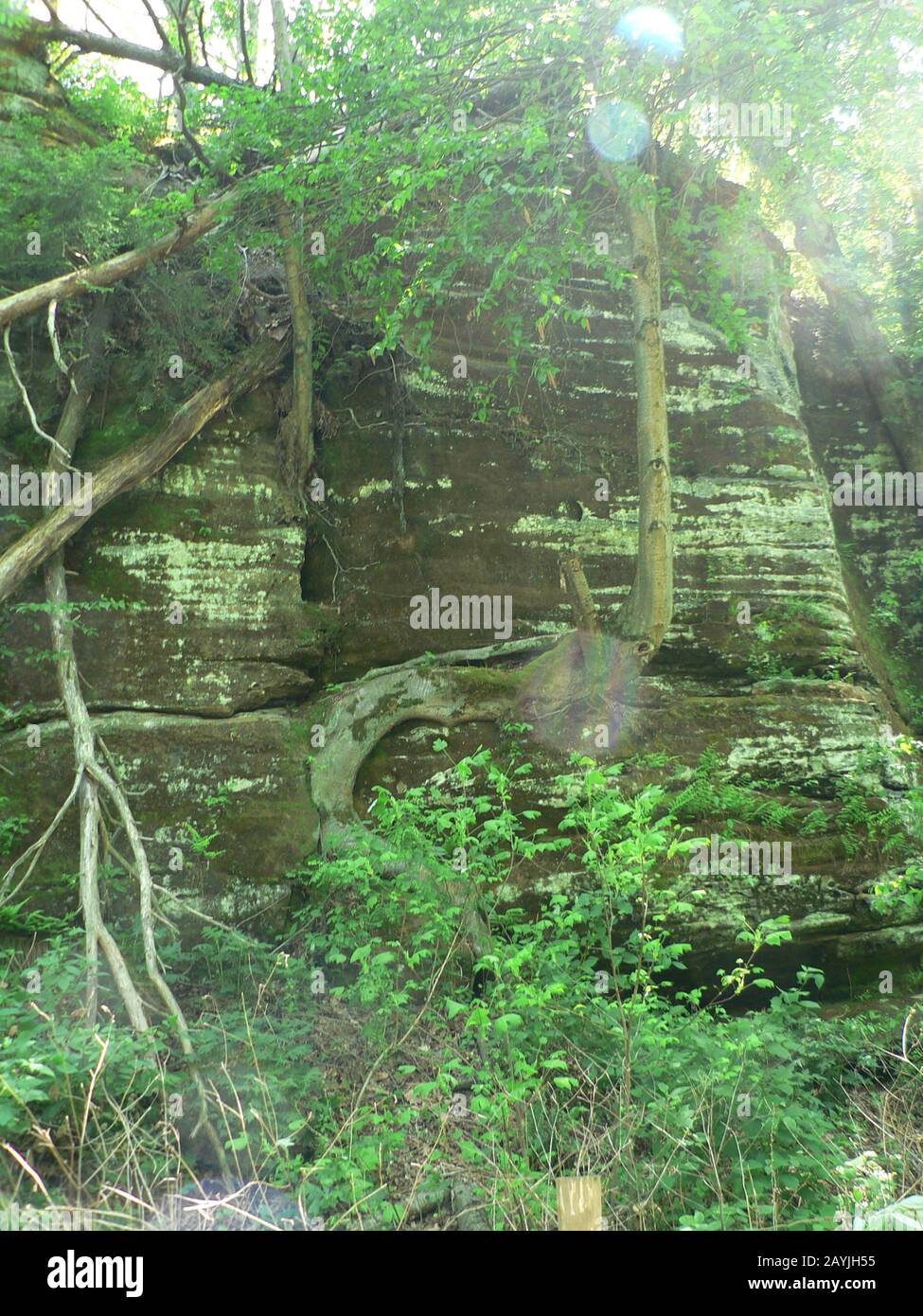 Blackhand Gorge, Ohio Stock Photo - Alamy