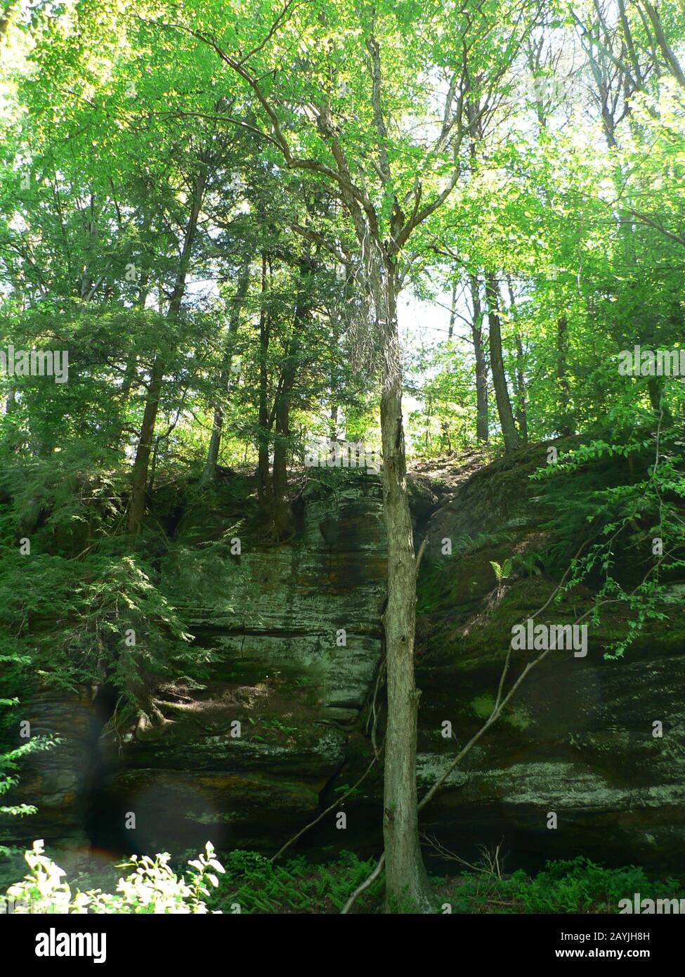 Blackhand Gorge, Ohio Stock Photo - Alamy