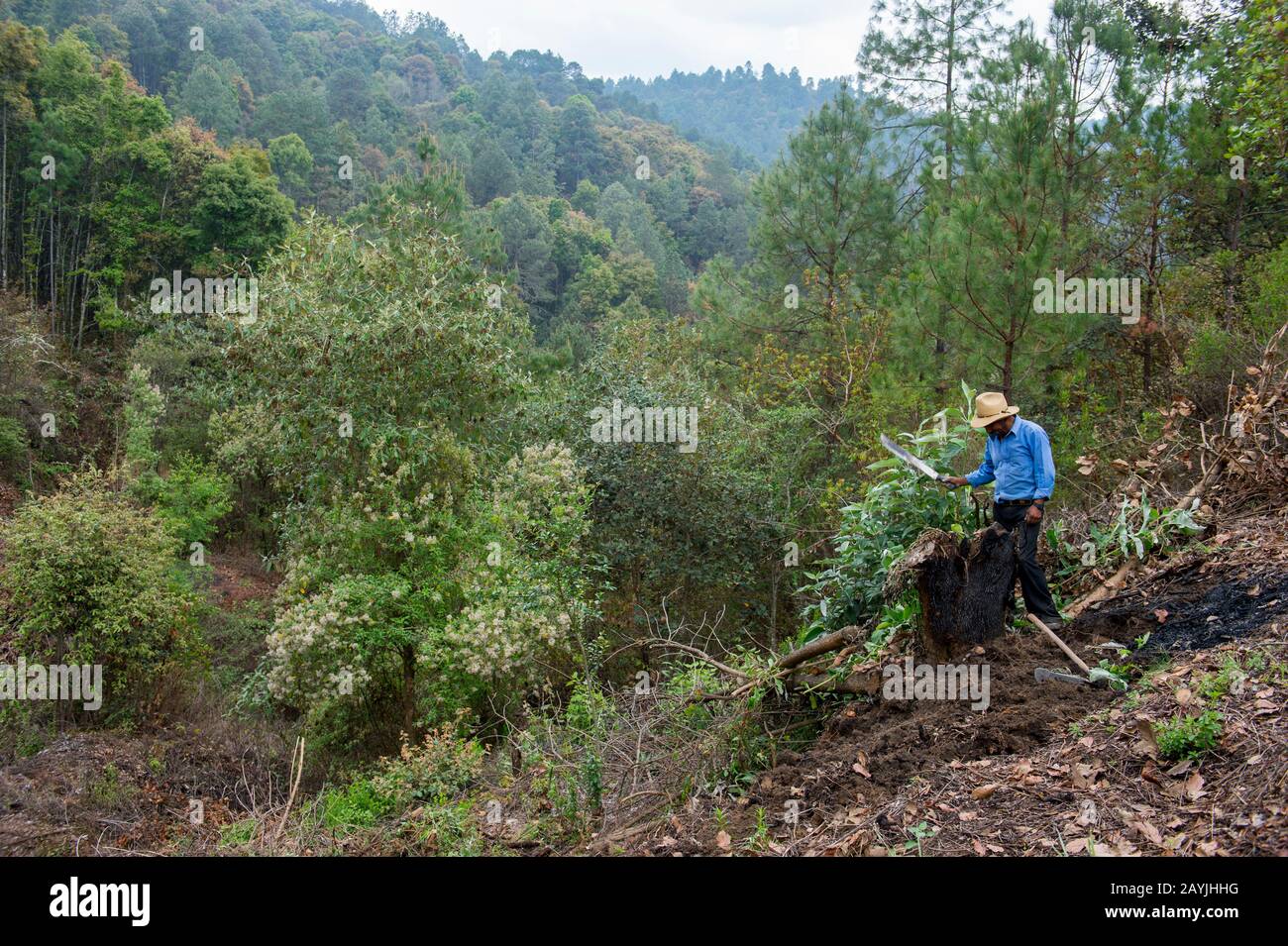 Clearing land for farming hi-res stock photography and images - Alamy