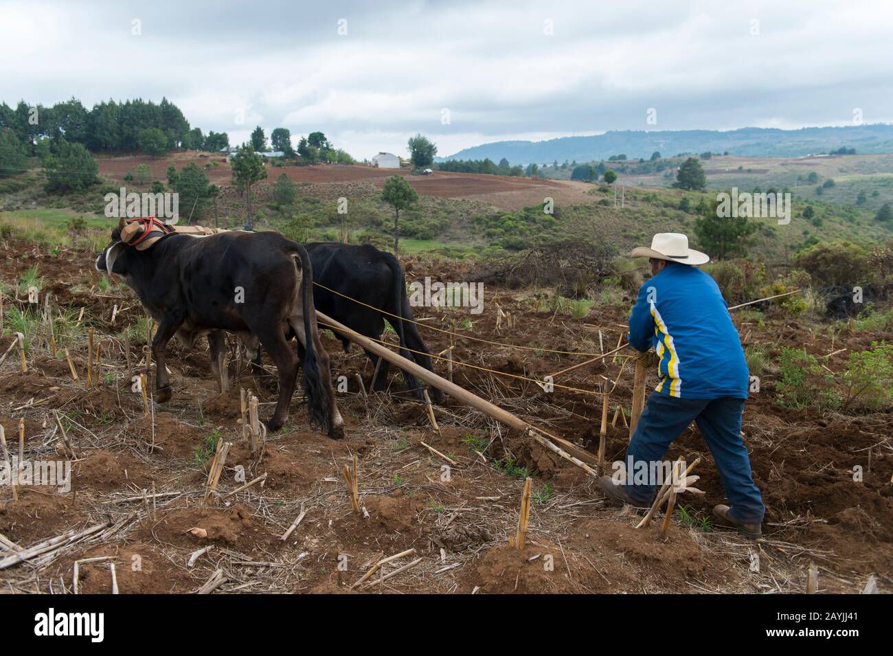 Subsistence farm mexico hi-res stock photography and images - Alamy