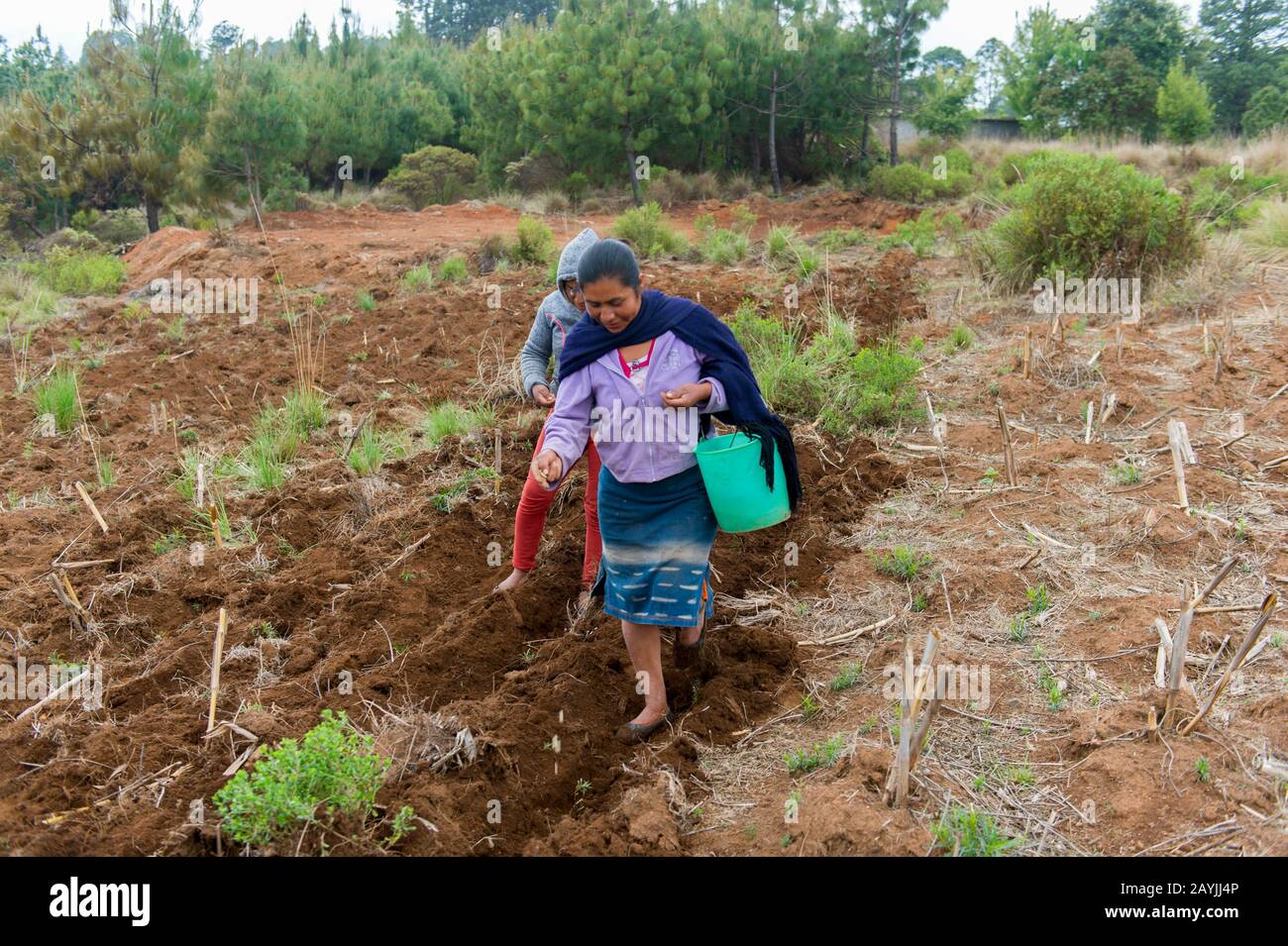 Subsistence farm mexico hi-res stock photography and images - Alamy
