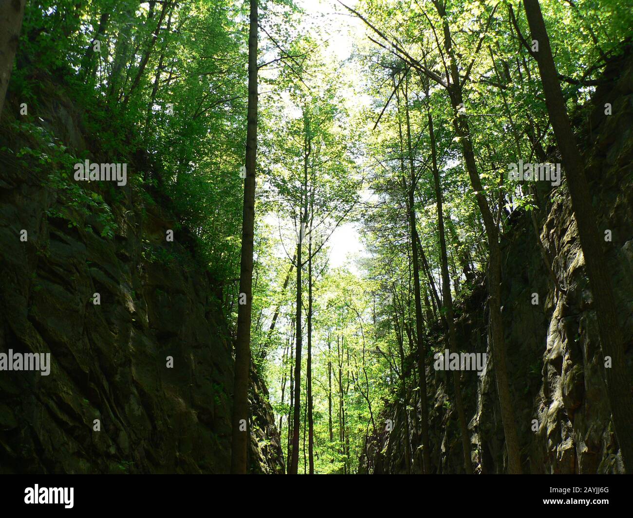 Blackhand Gorge, Ohio Stock Photo - Alamy