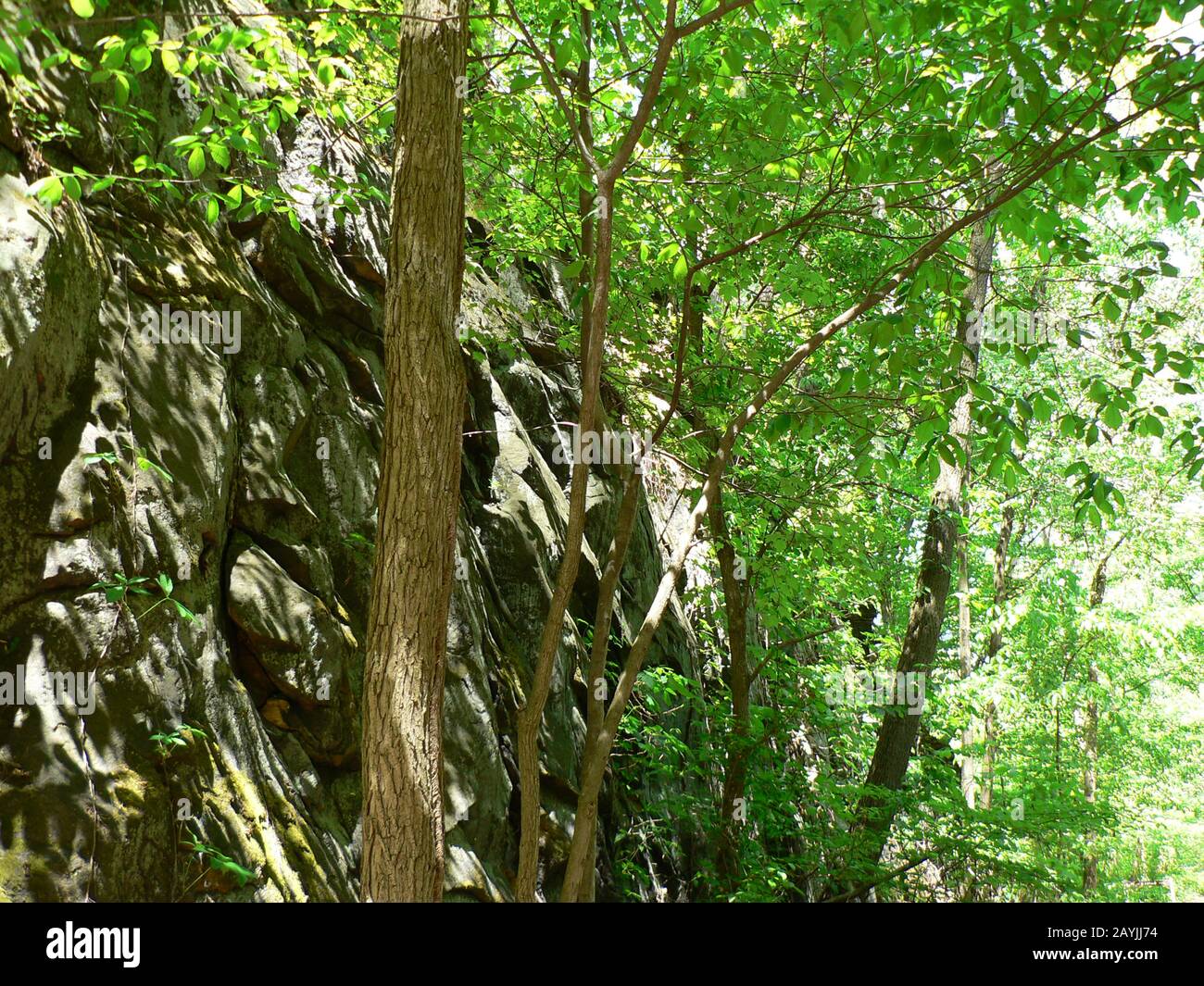 Blackhand Gorge, Ohio Stock Photo - Alamy