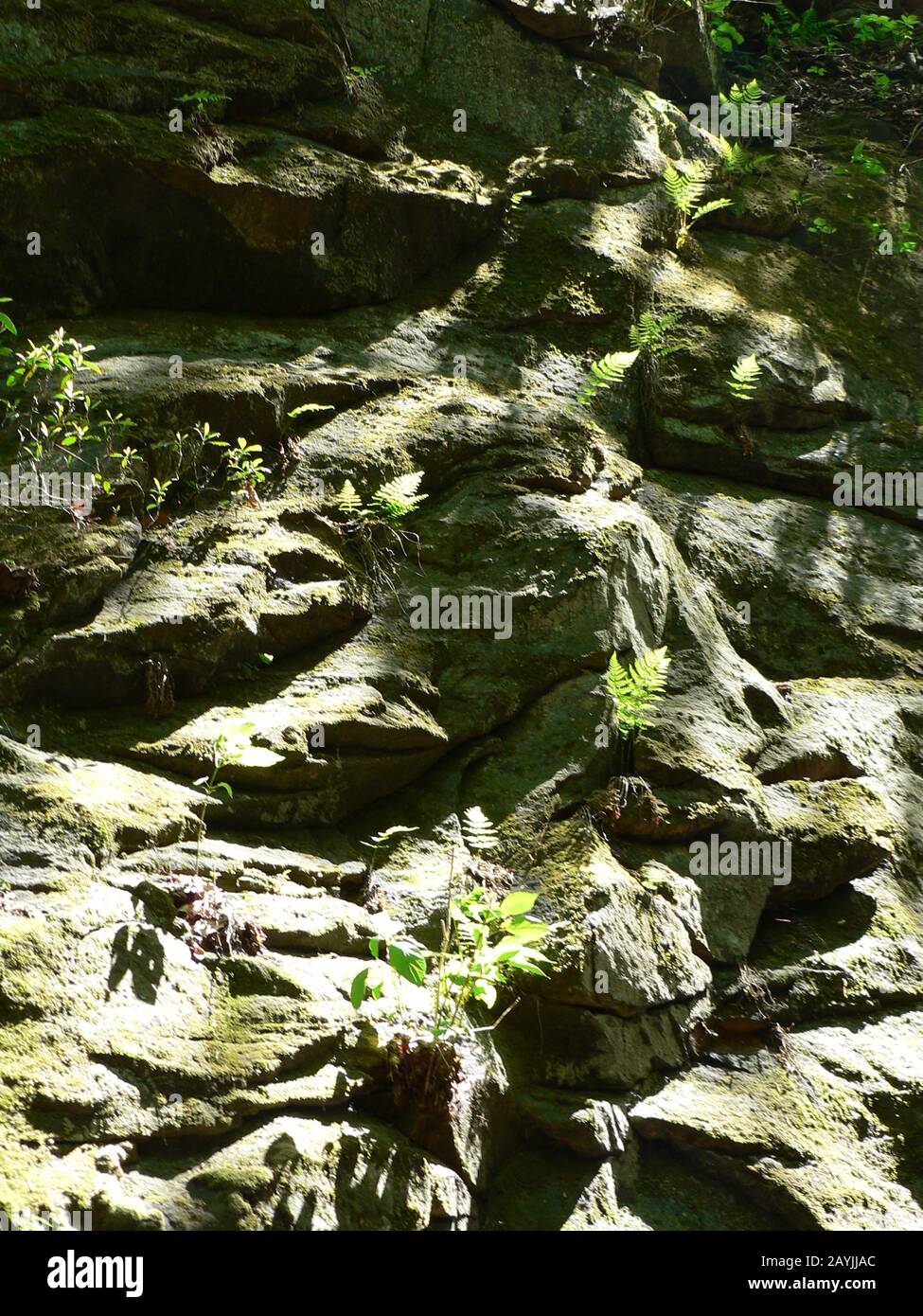 Blackhand Gorge, Ohio Stock Photo - Alamy