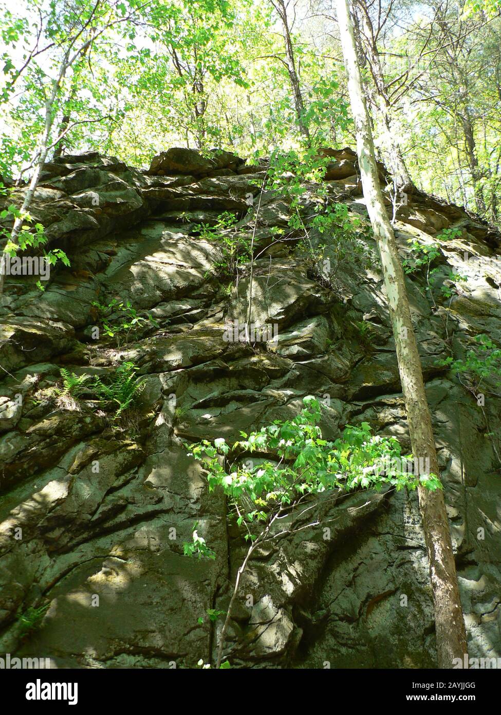 Blackhand Gorge, Ohio Stock Photo - Alamy