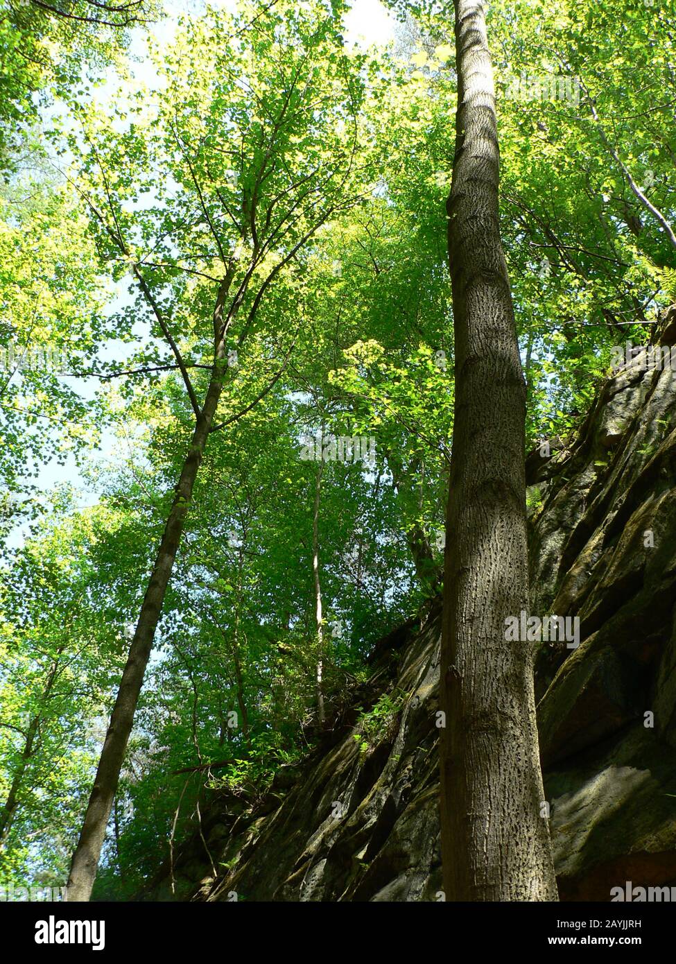Blackhand Gorge, Ohio Stock Photo - Alamy