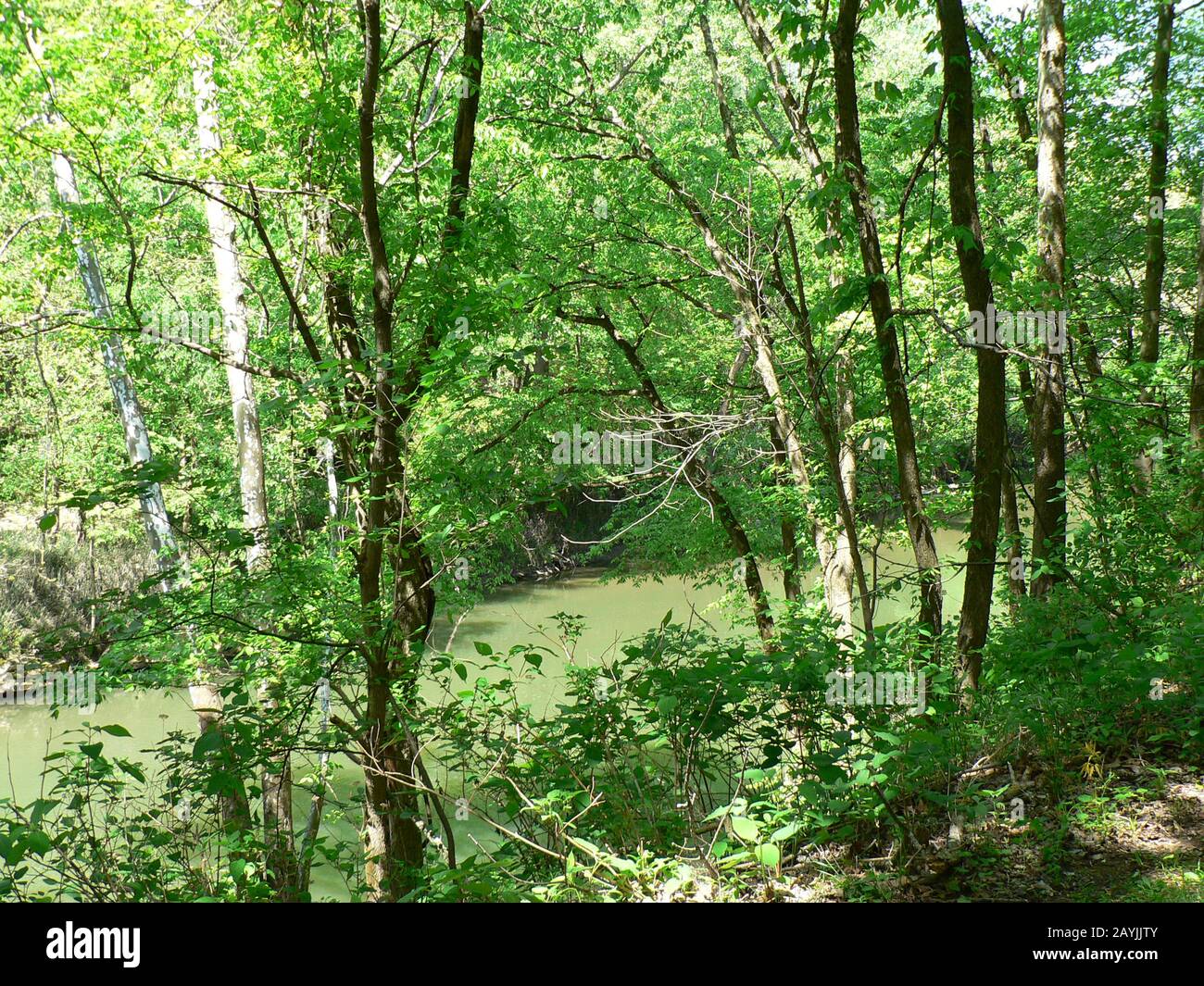 Blackhand Gorge, Ohio Stock Photo - Alamy