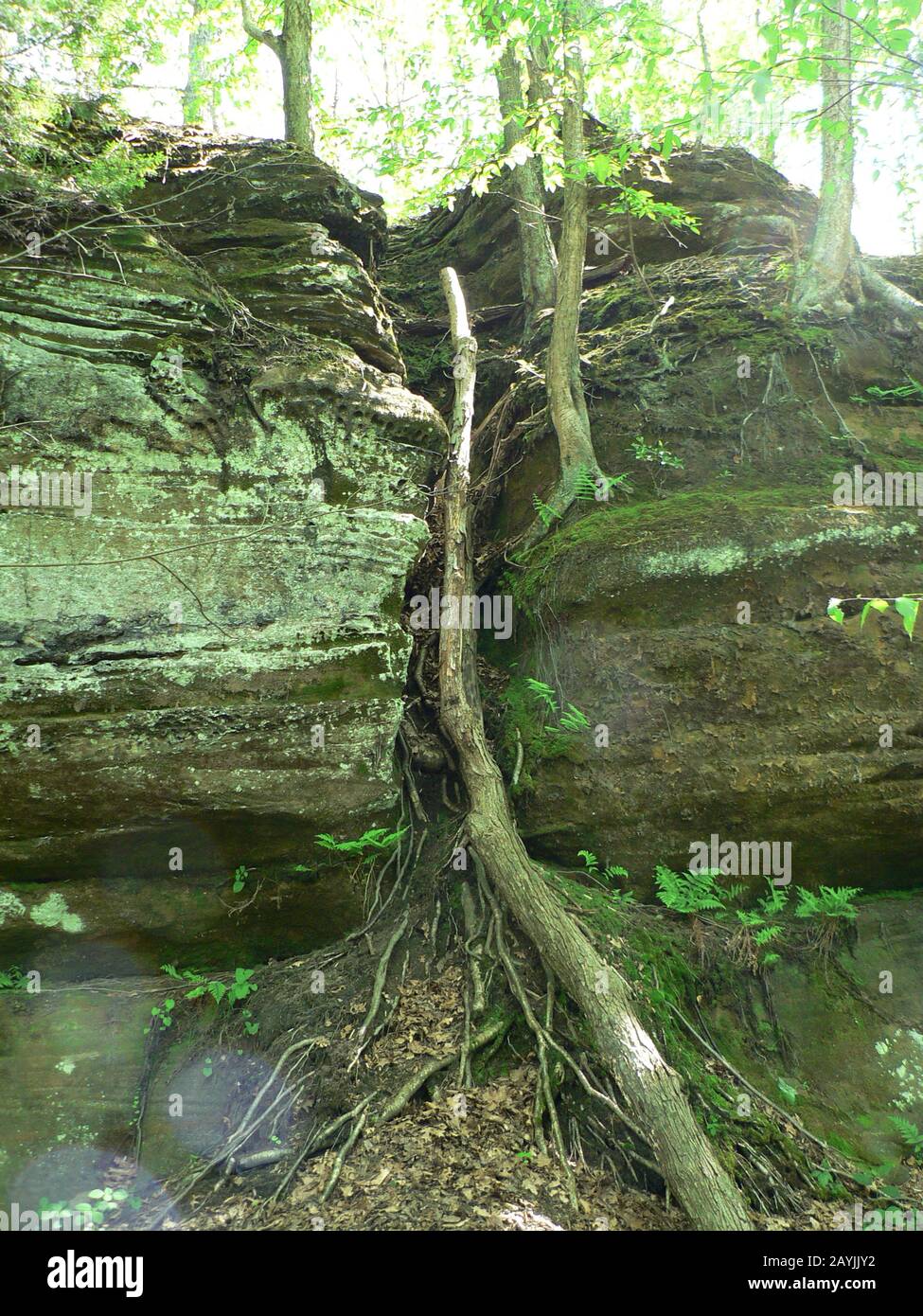 Blackhand Gorge, Ohio Stock Photo - Alamy