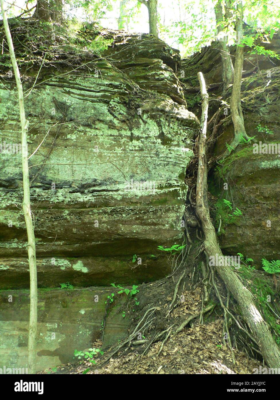 Blackhand Gorge, Ohio Stock Photo - Alamy