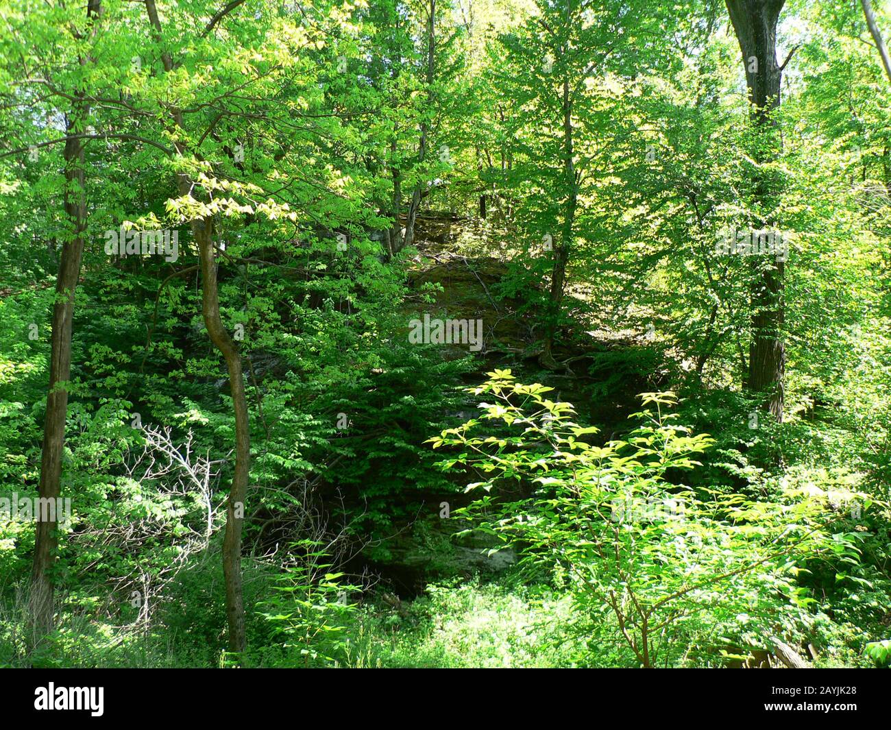 Blackhand Gorge, Ohio Stock Photo - Alamy
