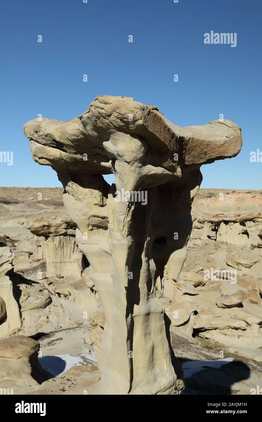 Strange Rock Formation in Bisti Badlands (Alien Throne) New Mexico USA ...